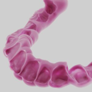 Alginato Tipo II BioJel | Depósito Dental DentXpress