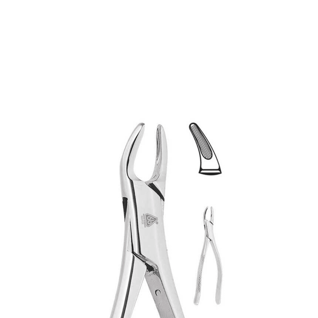 Forceps Adulto #150S P/Superior, Incisivos, Caninos y Premolares ...